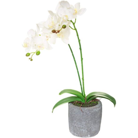 Orchidée Artificielle Real Touch Blanche Atmosphera