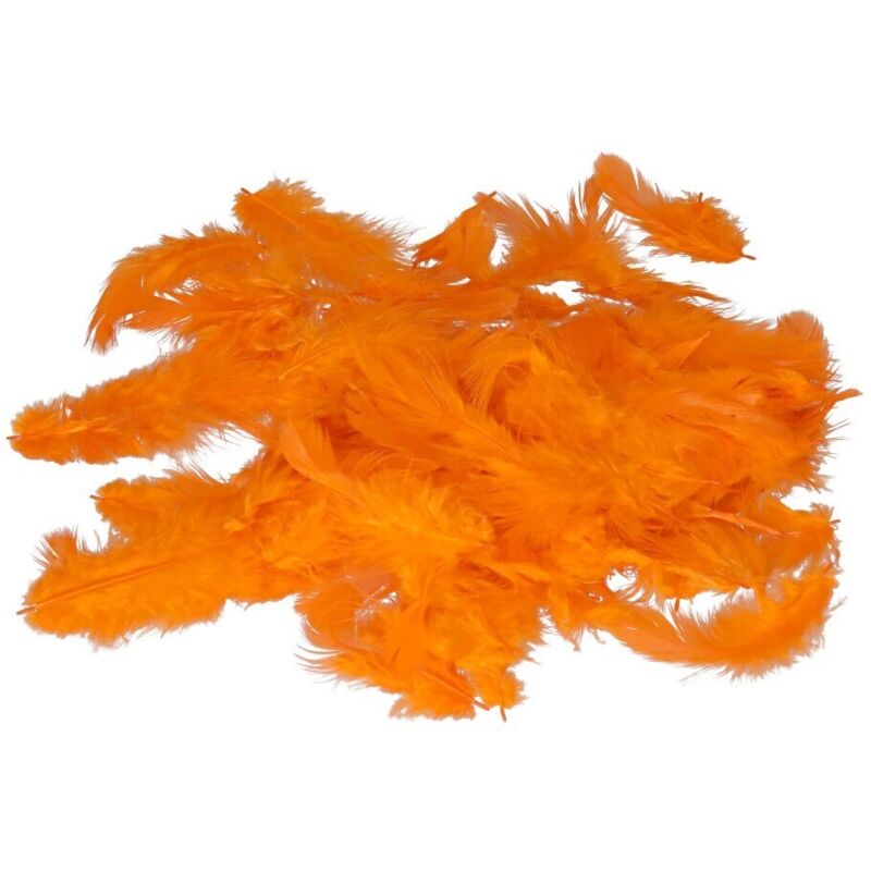 PLUMES DÉCORATIVES 13G 6-10CM ORANGE