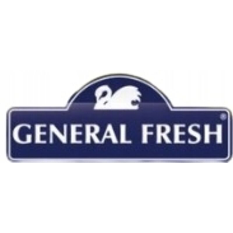 GENERAL FRESH FORCE ONE CUBE Recharge WC parfum floral 40 g