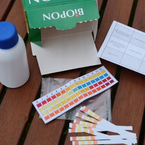 Kit de test du pH du sol 10 pièces Analyse précise de votre sol