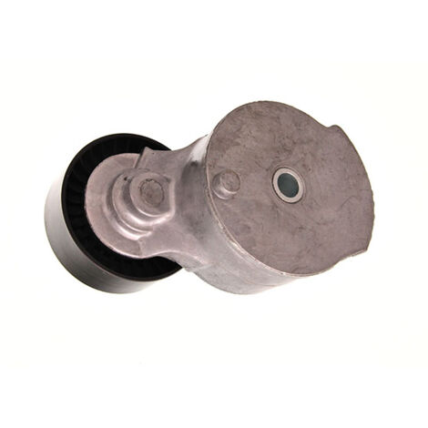 TENDEUR DE COURROIE MULTI-ROVÉ MAXGEAR. CITROËN C4/ C5/ JUMPY/ PEUGEOT ...