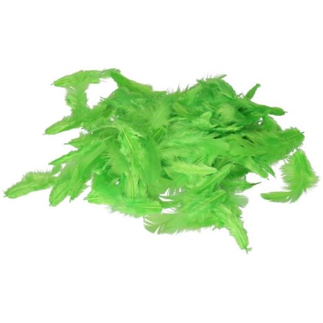PLUMES DÉCORATIVES 13G 6-10CM VERTES