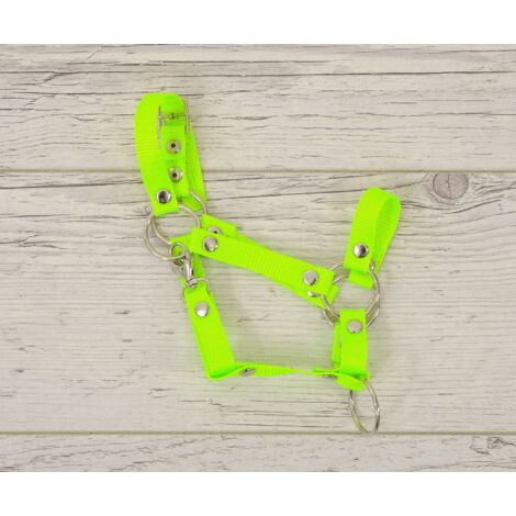 Licol réglable Hobby Horse A3 - Vert fluo
