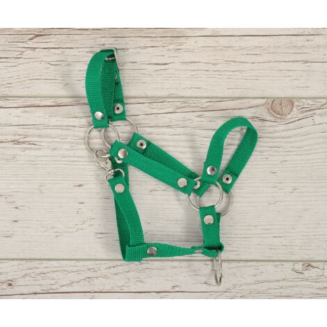 Licol réglable Hobby Horse A3 - Vert