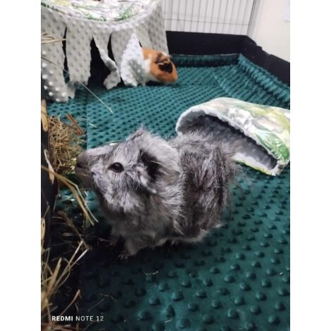 Tapis pour cage à cochon d'Inde ou lapin, 80x50, imperméable, gris