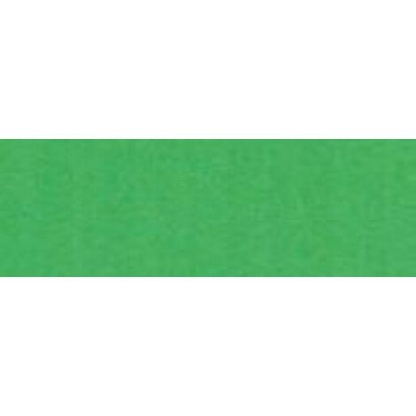 CARTON COULEUR 270G B1 VERT (25) 3956