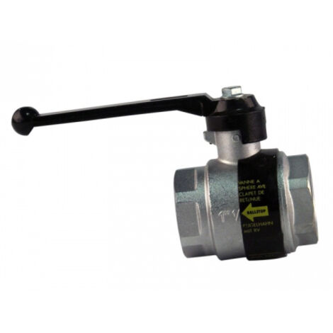 Robinet 1 pouce clapet anti-retour evite reflux et fuite plomberie
