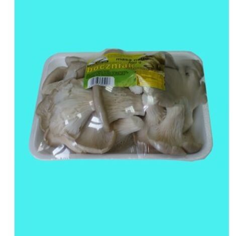 Nom Champignons pleurotes 500g - champignons frais directement de Pologne
