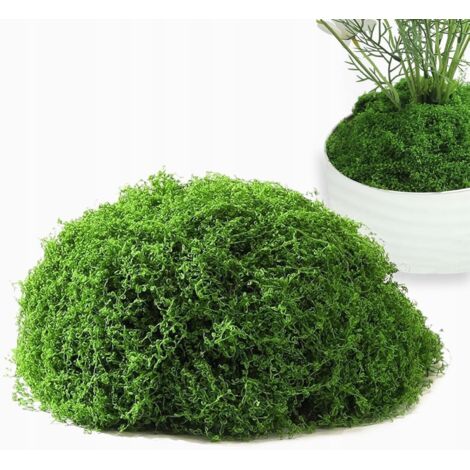 MOUSSE ARTIFICIELLE VERTE Décorative 100 g verte pour bricolage et ...