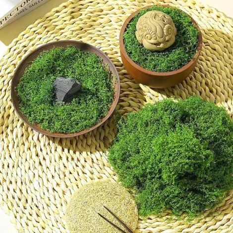 MOUSSE ARTIFICIELLE VERTE Décorative 100 g verte pour bricolage et ...