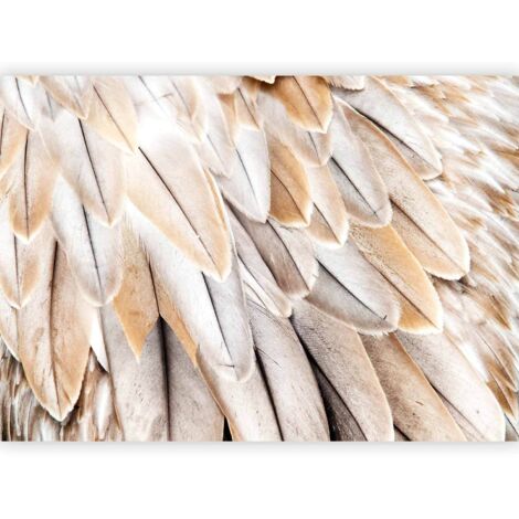 Papier peint photo ailes d'oiseau beige net HD intissé format 300x210 ...