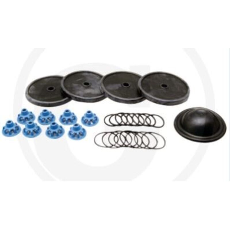 Kit de réparation pour pompe à membrane APS 145 ANNOVI 6705026018000