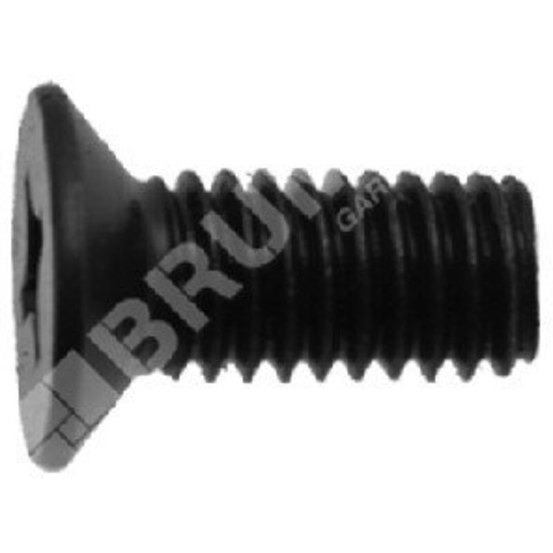 Vis guide lame pour taille-haie COMPATIBLE GREEN LINE - 038344