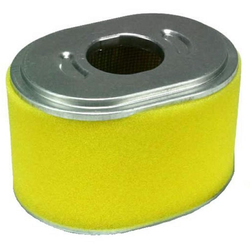 Filtre à air moteur 165F-3 motoculteur GGP STIGA 118550496/0 310811