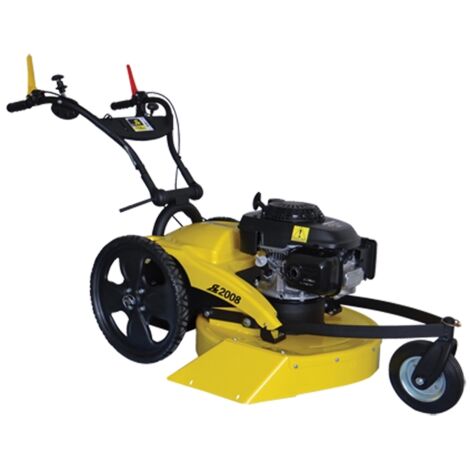 RL 2008 RL 53 cm SERIE ROQUES ET LECOEUR faucilleuse avec moteur HONDA ...