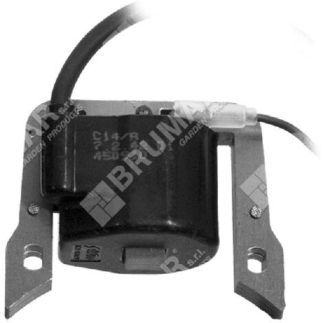 Bobine d'allumage pour débroussailleuses BLUE BIRD - ZANÈ 450910 (ex ...