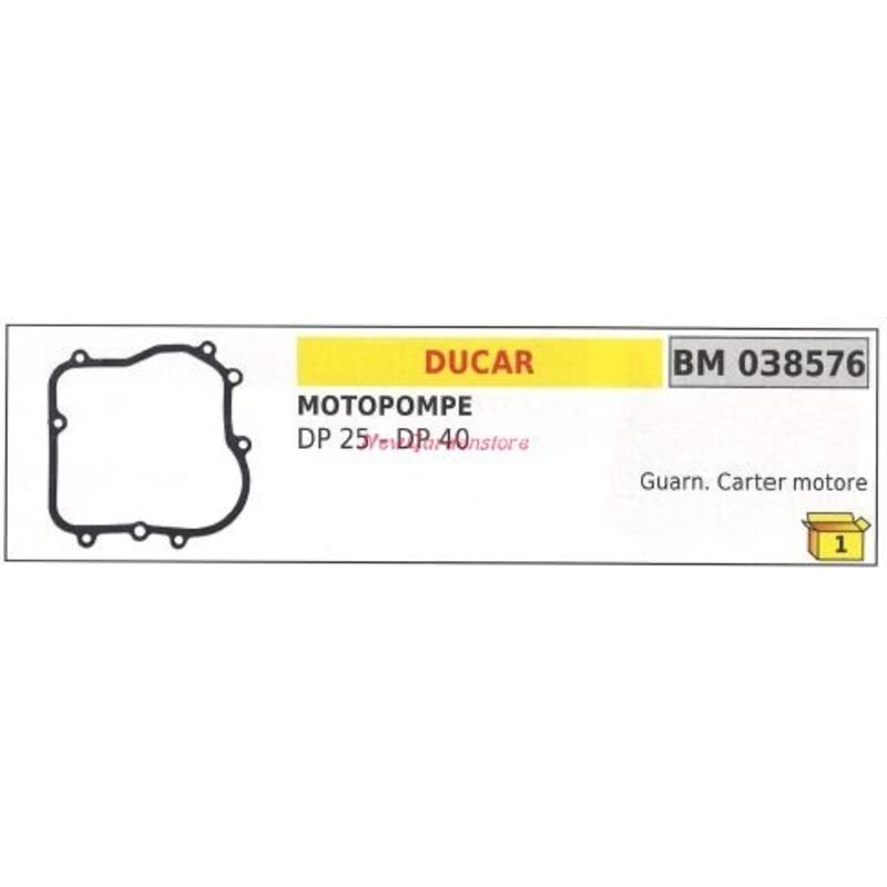 Kurbelgehäusedichtung DUCAR Motorpumpe DP 25 40 038576