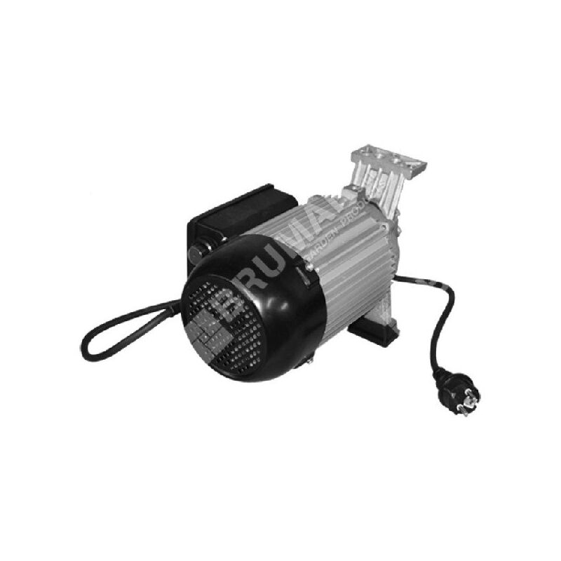 Motor eléctrico para cortadora de leña COMPATIBLE ATTILA - 049625