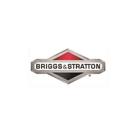 Pastiglia valvola ORIGINALE BRIGGS & STRATTON 590533