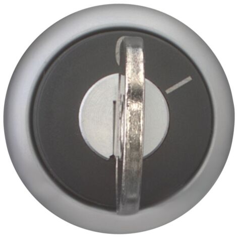 Eaton Schlüsseltaste M22-WRS-A1