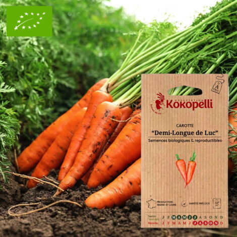 Carotte Rouge et Orange Demi-Longue de Luc- Graines bio à semer