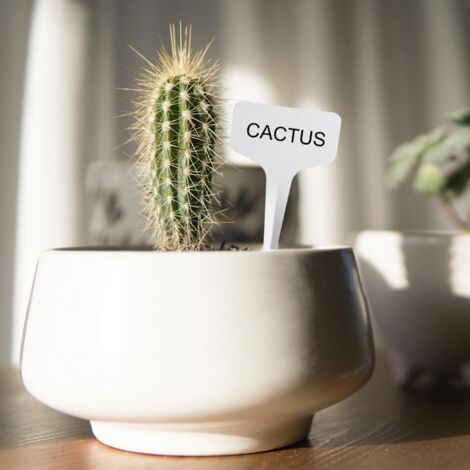 Pack of 100 T-shaped plastic plant stakes, labels, labelling, plant signs