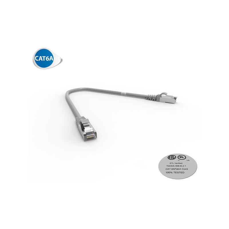 Cordon RJ45 CAT6A SFTP 100 Ohms LSOH, Couleur : gris, Longueur : 0,3m ...