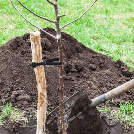 8 Pièces 60 cm Attache pour Arbre Fruitier, Attache Tuteur Arbre ...