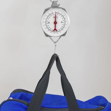 Balance suspendue, balance de valise avec crochet, gris, 200 kg