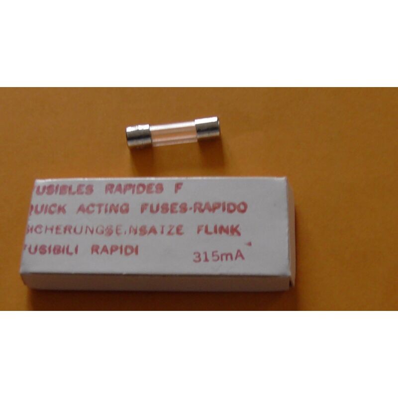 10 FUSIBLES 5x20 315mA 250V Rapide FSP FUSIBLE