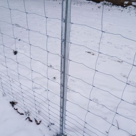 100 m Game fencing Forest fencing Field fencing 80/6/15 Heavy duty+ Z ...