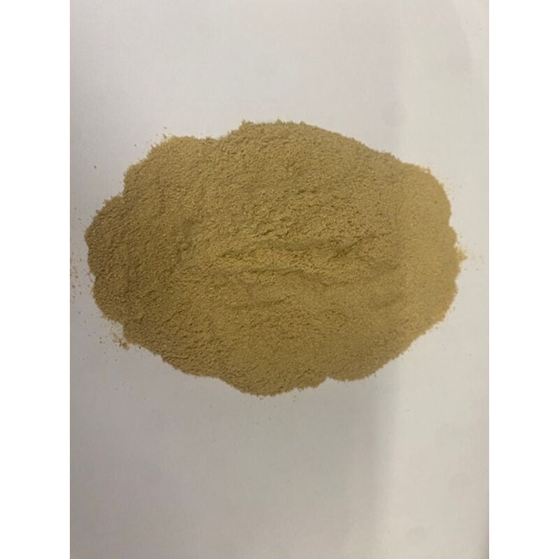 Fiori di fico d'india macinati 1 kg
