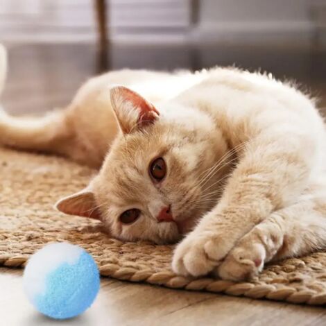 Palline colorate di peluche per gatti - set da 12