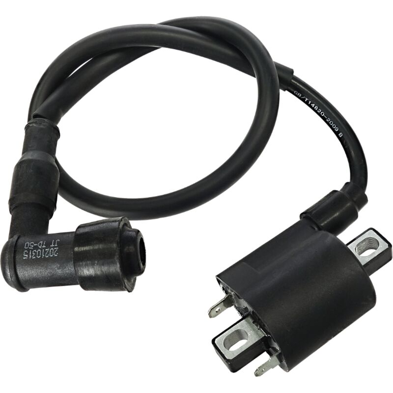 Bobina de alto voltaje para Sprint/Fighter/Volcano 50 / Euro 5