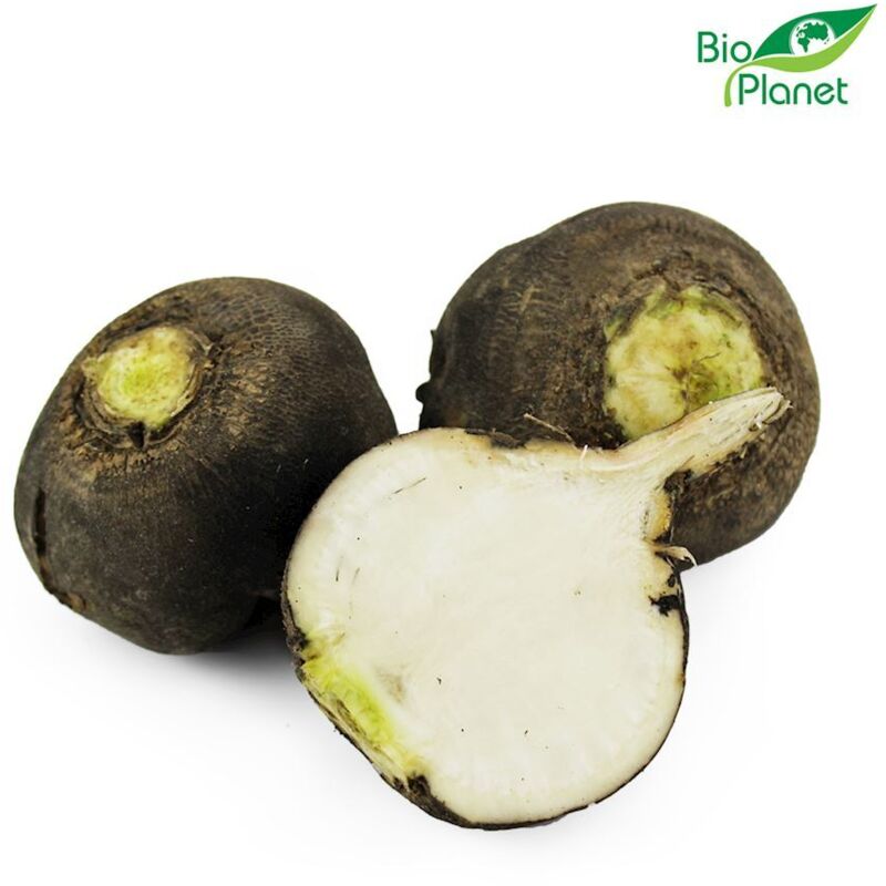 Envase a granel (kg) - Nabo negro orgánico fresco (polaco) (aprox. 5 kg)