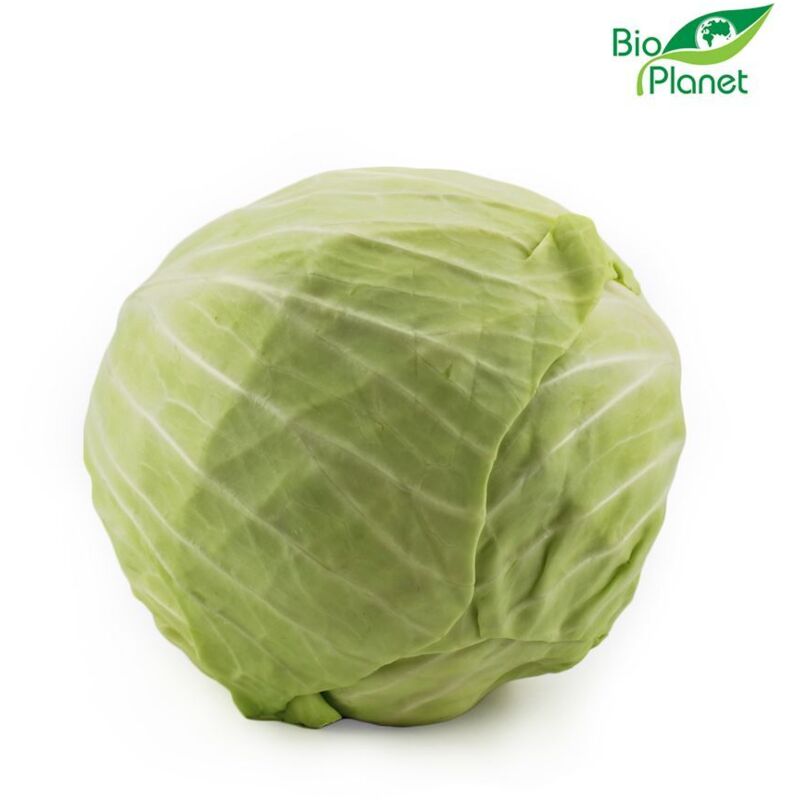 Envase a granel (kg) - Repollo blanco orgánico fresco (polaco) (aprox ...