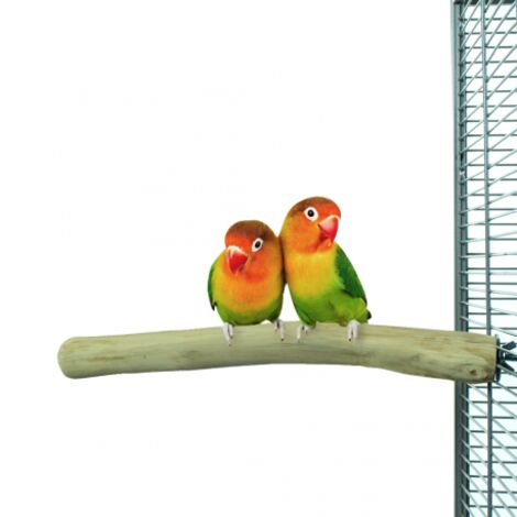 JAVA S Perch - recta para loros más pequeños