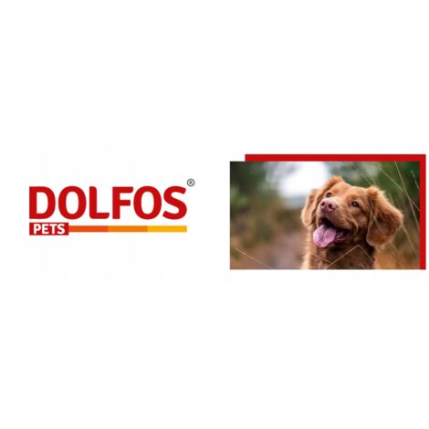 ArthroDol Mini Garra del Diablo MSM para articulaciones PARA PERROS 60 ...