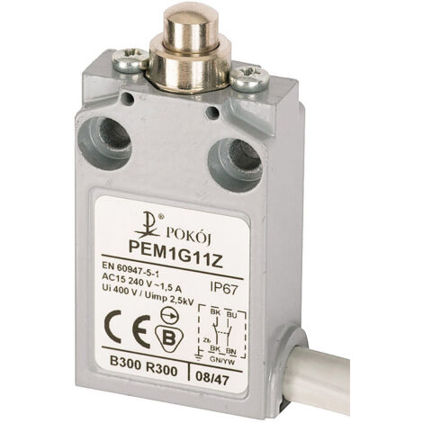 Interruptor de límite de posición única PEM1G11Z