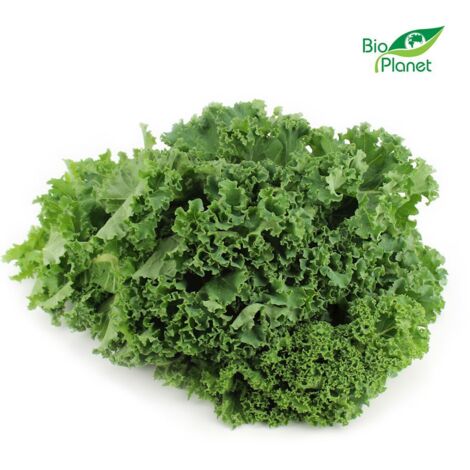 Col rizada orgánica fresca (aprox. 0,25 kg)