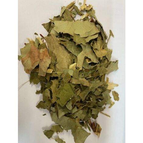 Hierba japonesa del nudo 1 kg