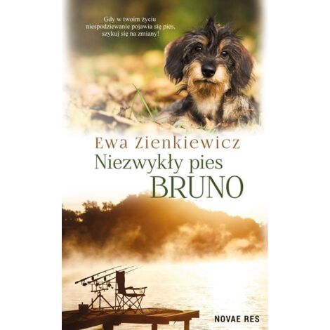 Bruno el perro extraordinario