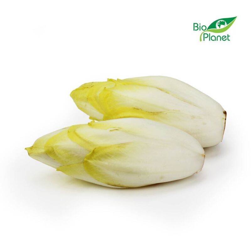 Großpackung (kg) – Frischer Bio-Chicorée (ca. 2,5 kg)‘