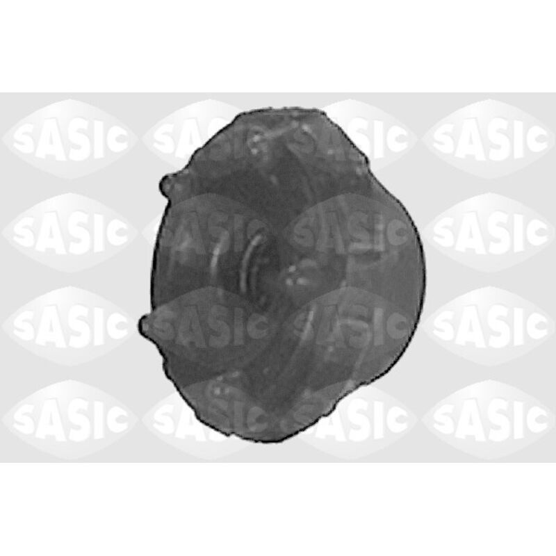 DICHTRING 9001549 SASIC
