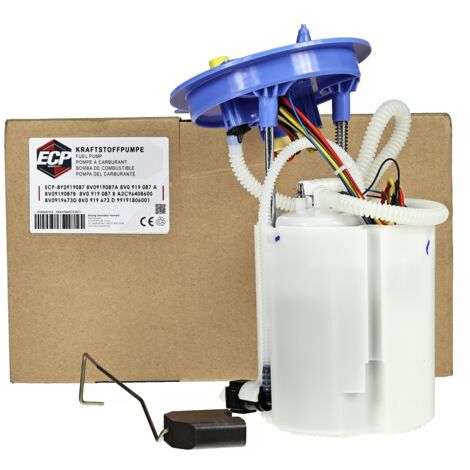 Kraftstoffpumpe 8V0919087A Audi RS3 8V TTRS 2.5 TFSI