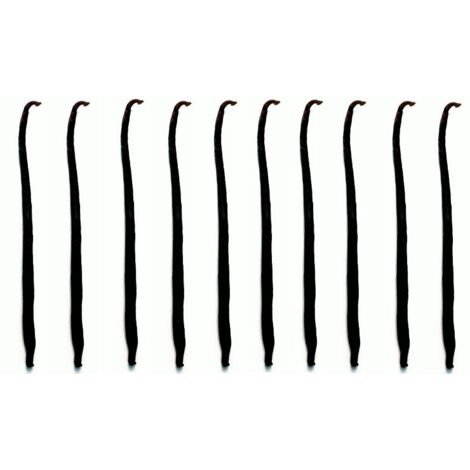 VANILLESTICKS 10 STK 10-14cm Vanillestange QUALITÄT1