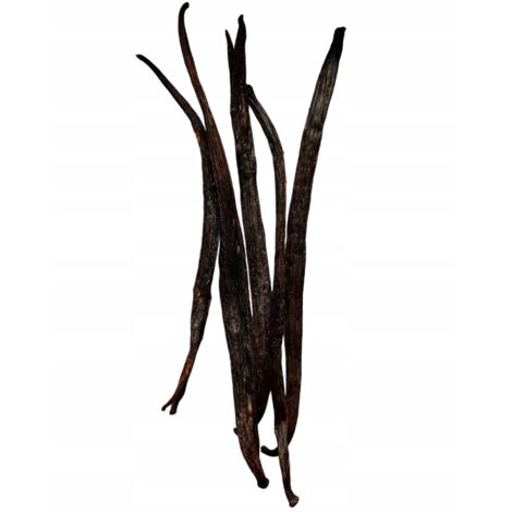 KANDIERTE VANILLESTICKS 5 STK 16-22 cm Vanillestange Givre