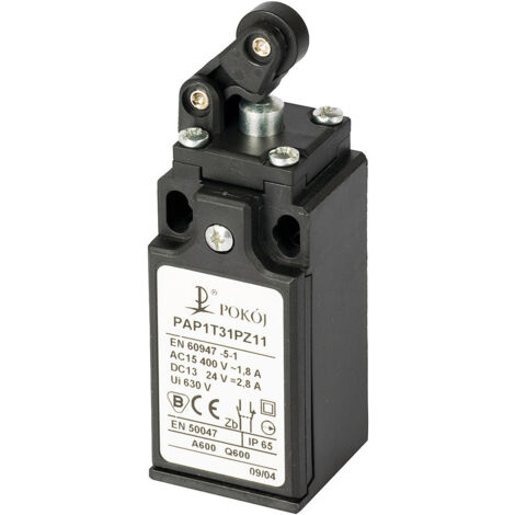 PAP1T31PW20 Einzelpositions-Endschalter