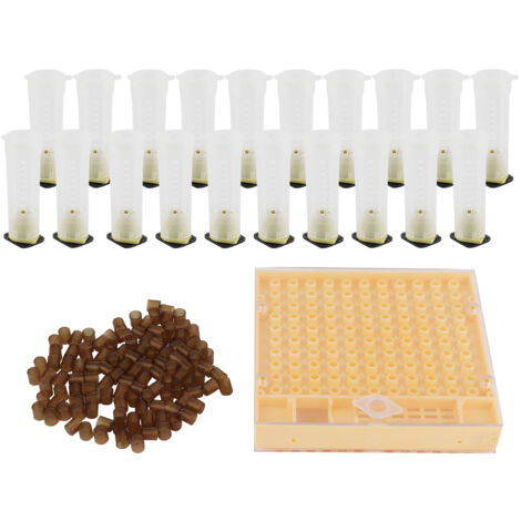 Queen Bee Rearing Box Plastic Cage Rearing Cell Cup Kit Beekeeping ...