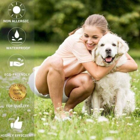 Collier réglable Anti-puces et tiques pour Chiens - Imperméable ...